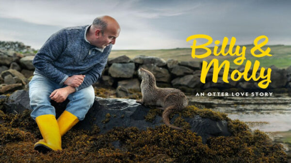 Movie of the Week: February 3, 2025: Billy & Molly: An Otter Love Story ...